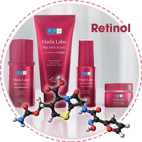 Giới thiệu - HADA LABO VIETNAM